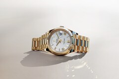 About Rolex - Sustainable development