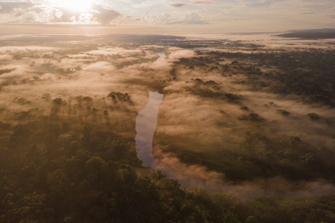 Perpetual Planet Initiative - Preserving the natural world | Rolex®