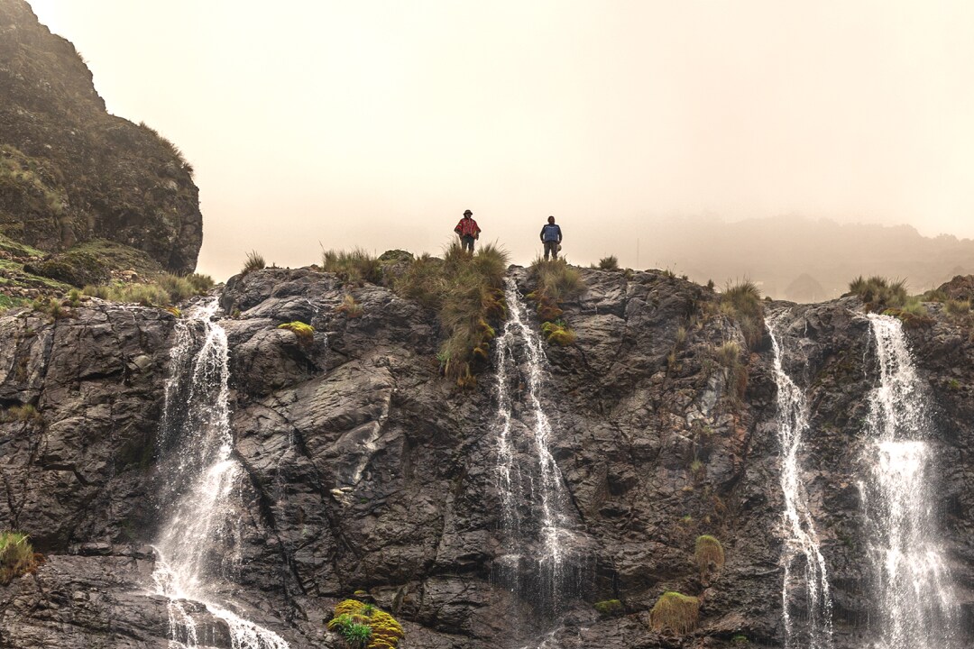 Perpetual Planet Initiative - Preserving the natural world | Rolex®