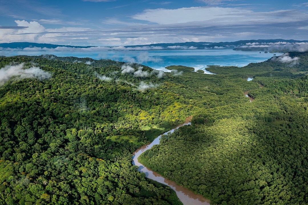 Perpetual Planet Initiative - Preserving the natural world | Rolex®