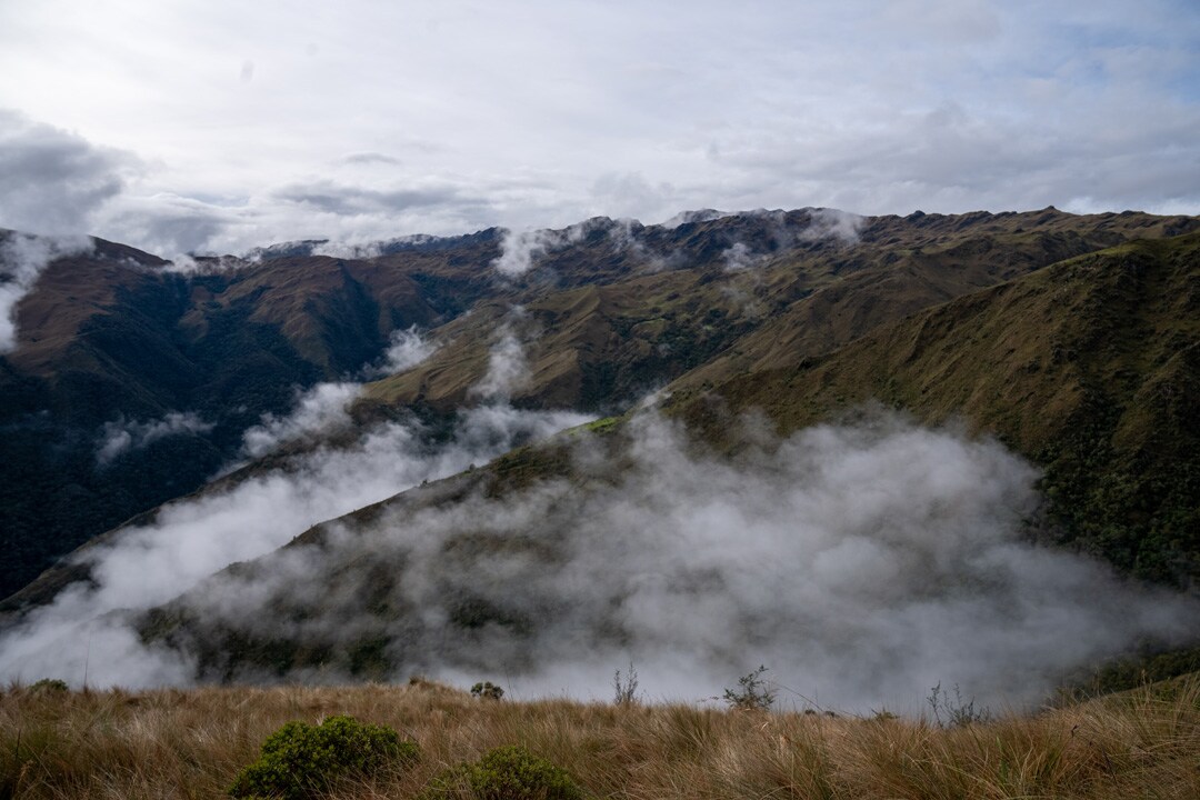 Perpetual Planet Initiative - Preserving the natural world | Rolex®